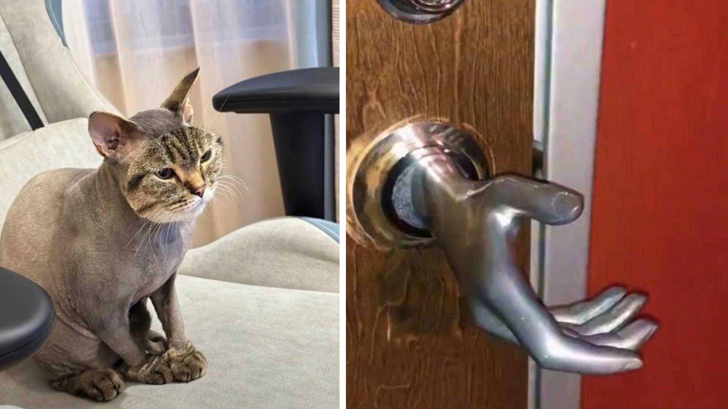 20 Peculiar Images That Require A Little Bit Of Thinking | Know Your Meme