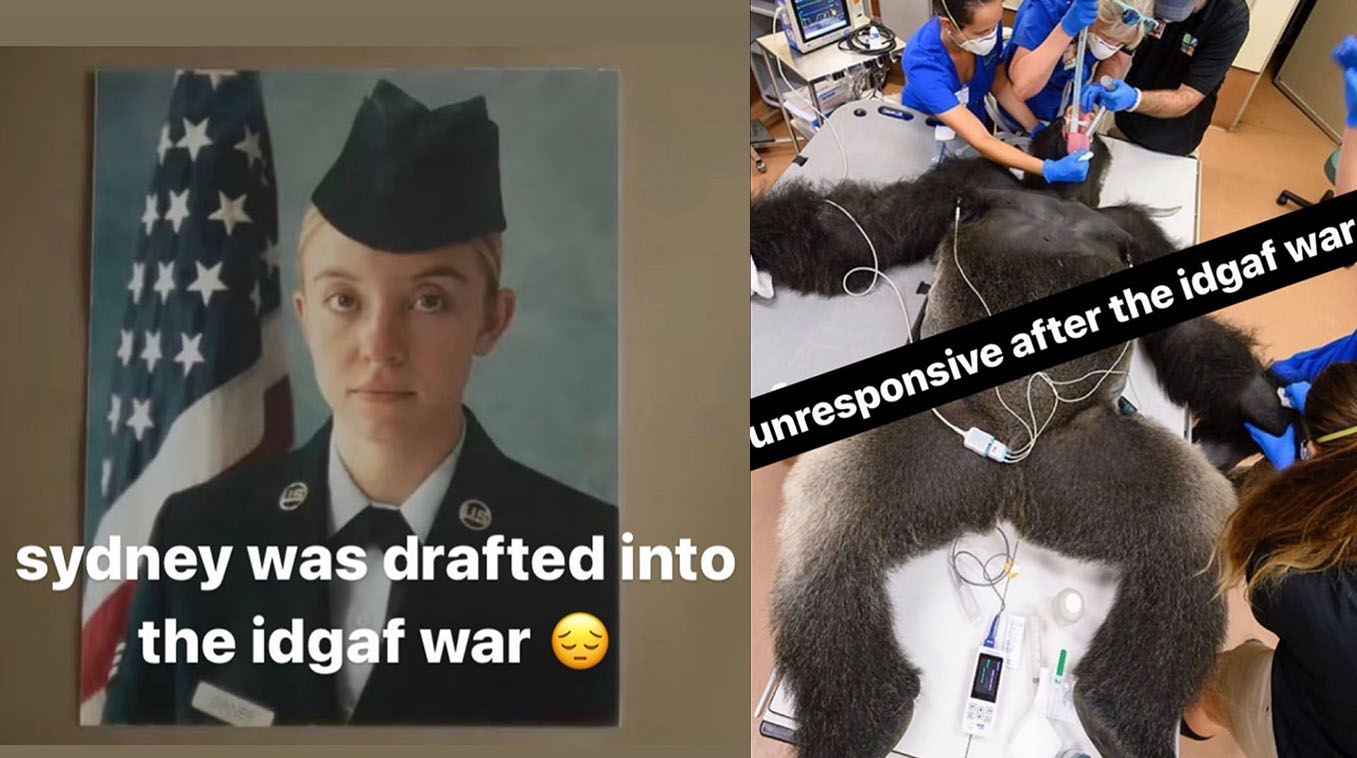 What Is The 'IDGAF War' And Who Is Fighting It? The Stan Twitter Meme ...