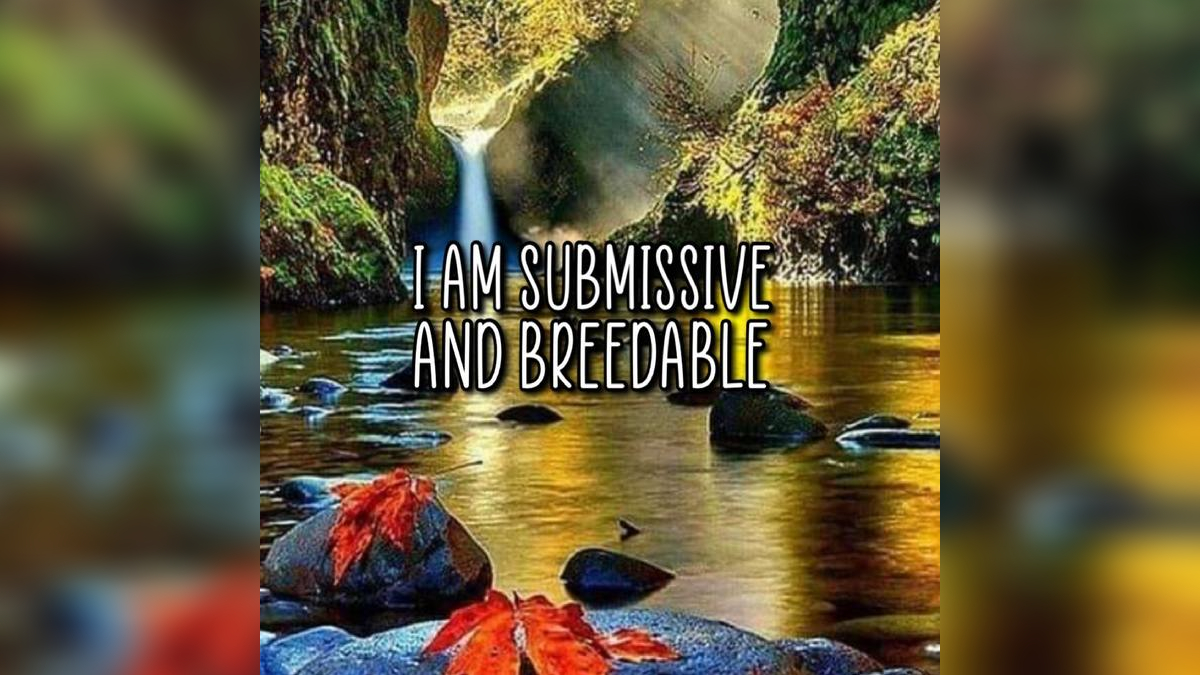 What Does 'Submissive And Breedable' Mean? The Viral Meme Explained ...