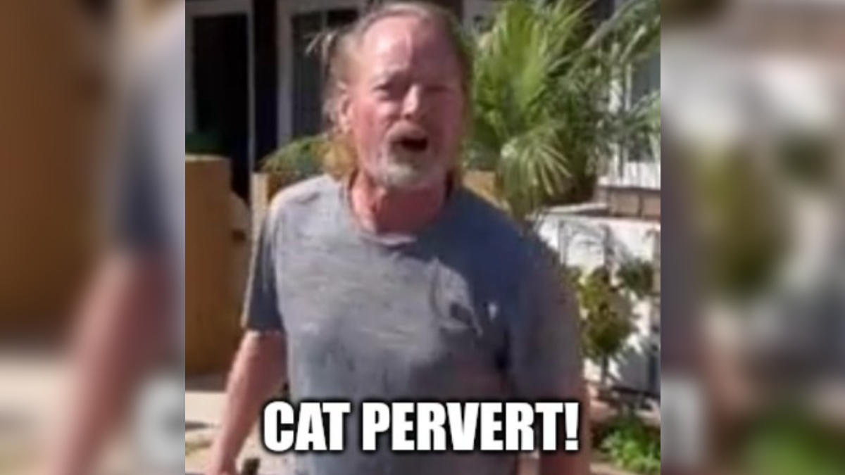 What Does 'Cat Pervert' Mean And Why Is It Trending On Twitter? The ...