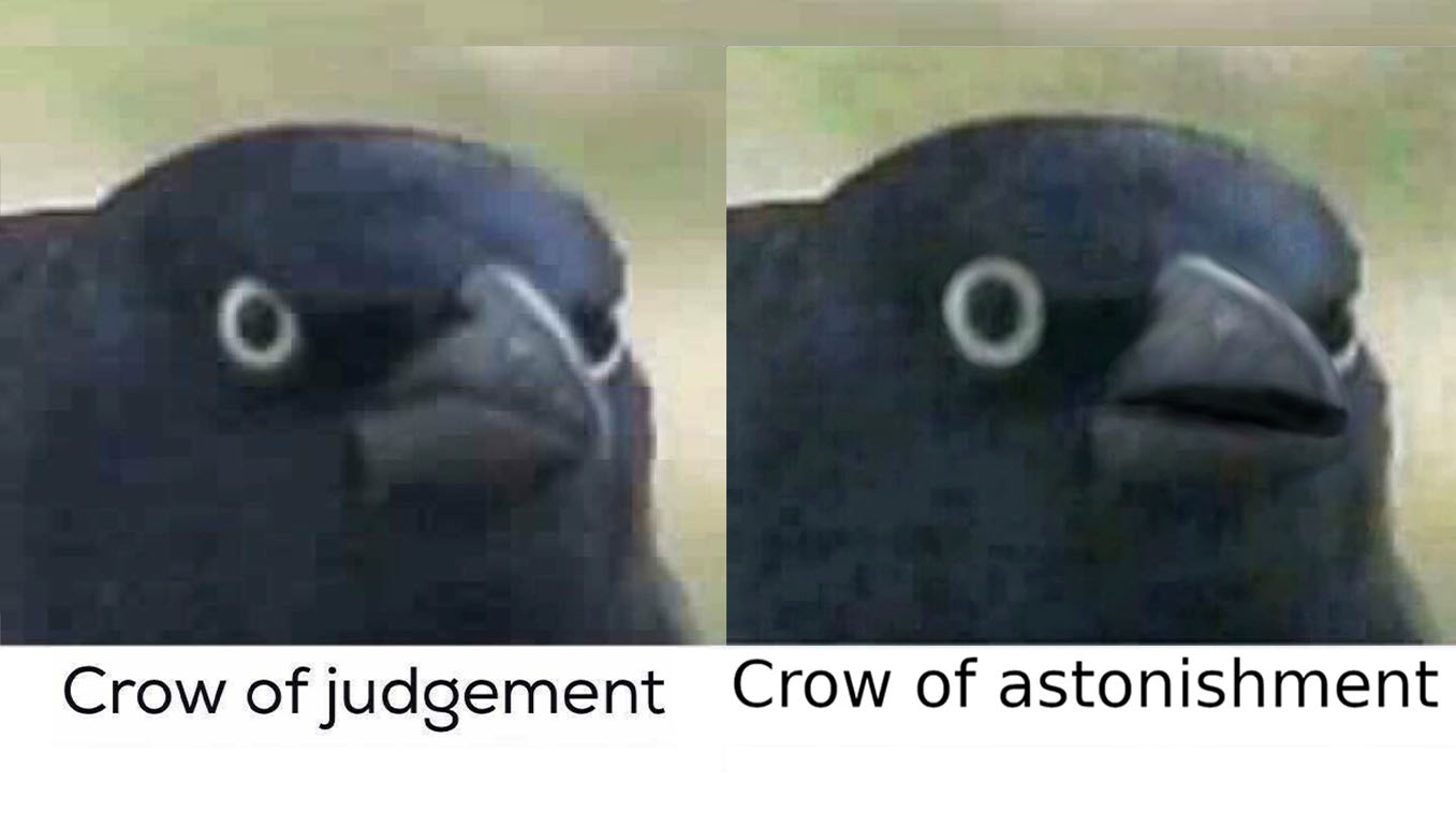 What Is The Crow Of Judgement? The Classic Reaction Meme Explained ...