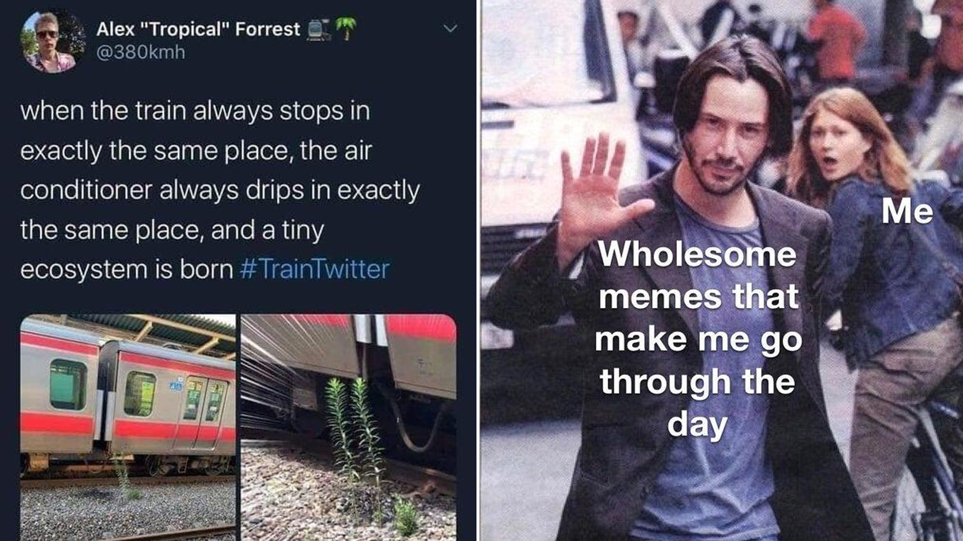 25 Wholesome Memes To Make Your Day A Whole Lot Better | Know Your Meme