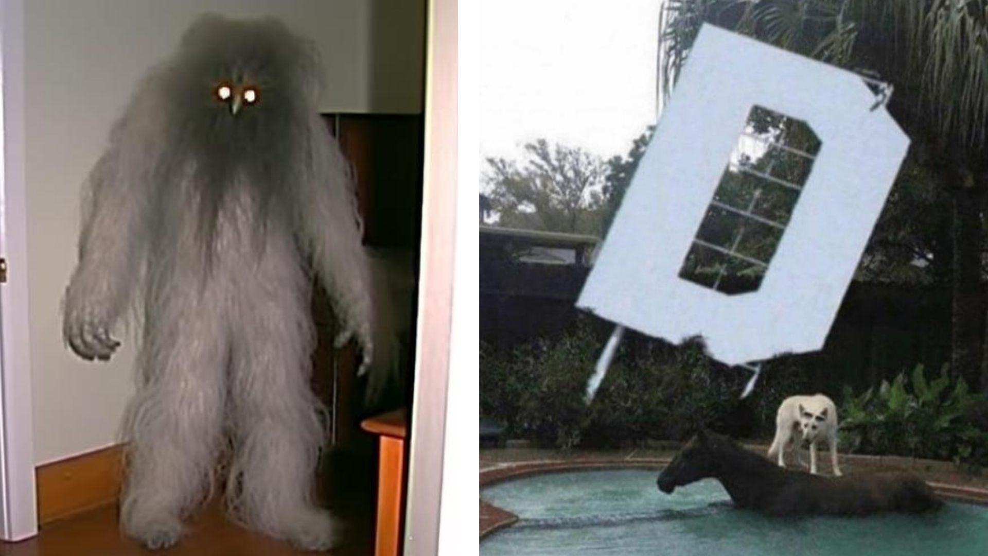 The 25 Most Bizarre And Cursed Images On The Internet Know Your Meme