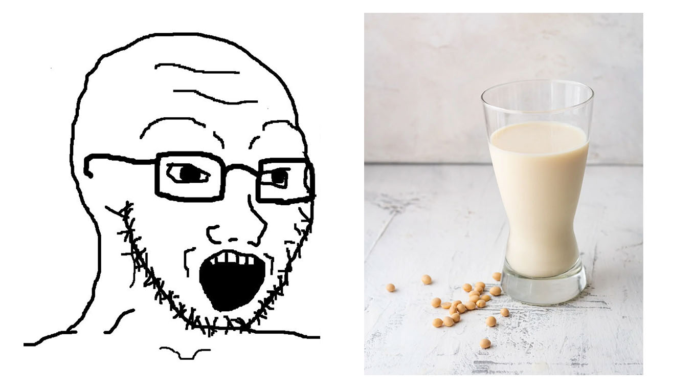 What Is A 'Soy Boy?' The Emasculating Insult Favored By Internet Trolls ...