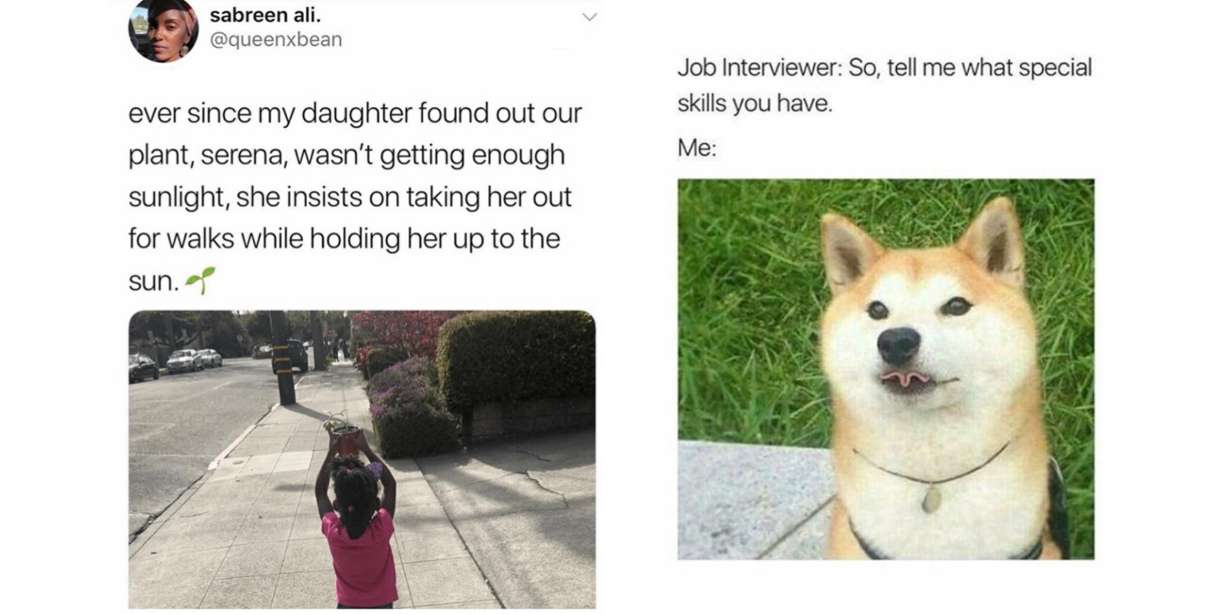 25 Wholesome Memes For A Wholesome Friday | Know Your Meme 25 Wholesome Memes For A Wholesome Friday | Know Your Meme