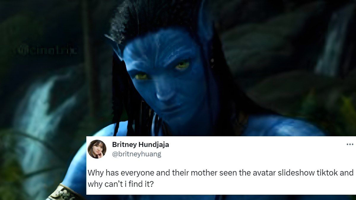 What Is The TikTok 'Avatar Slideshow' And Why Was The Original Deleted ...