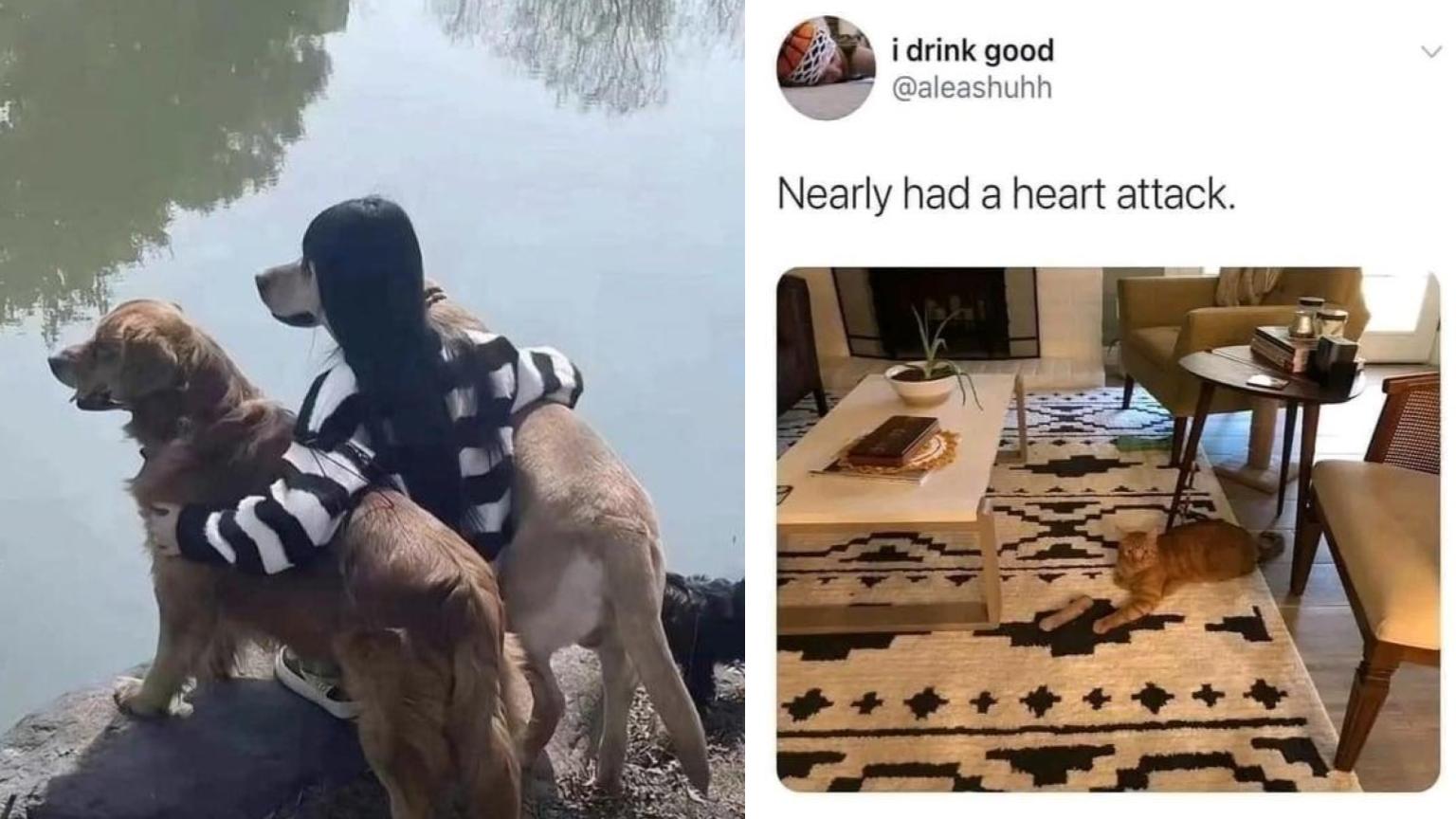 20 Photos With Confusing Perspectives And Whole New Meanings | Know ...