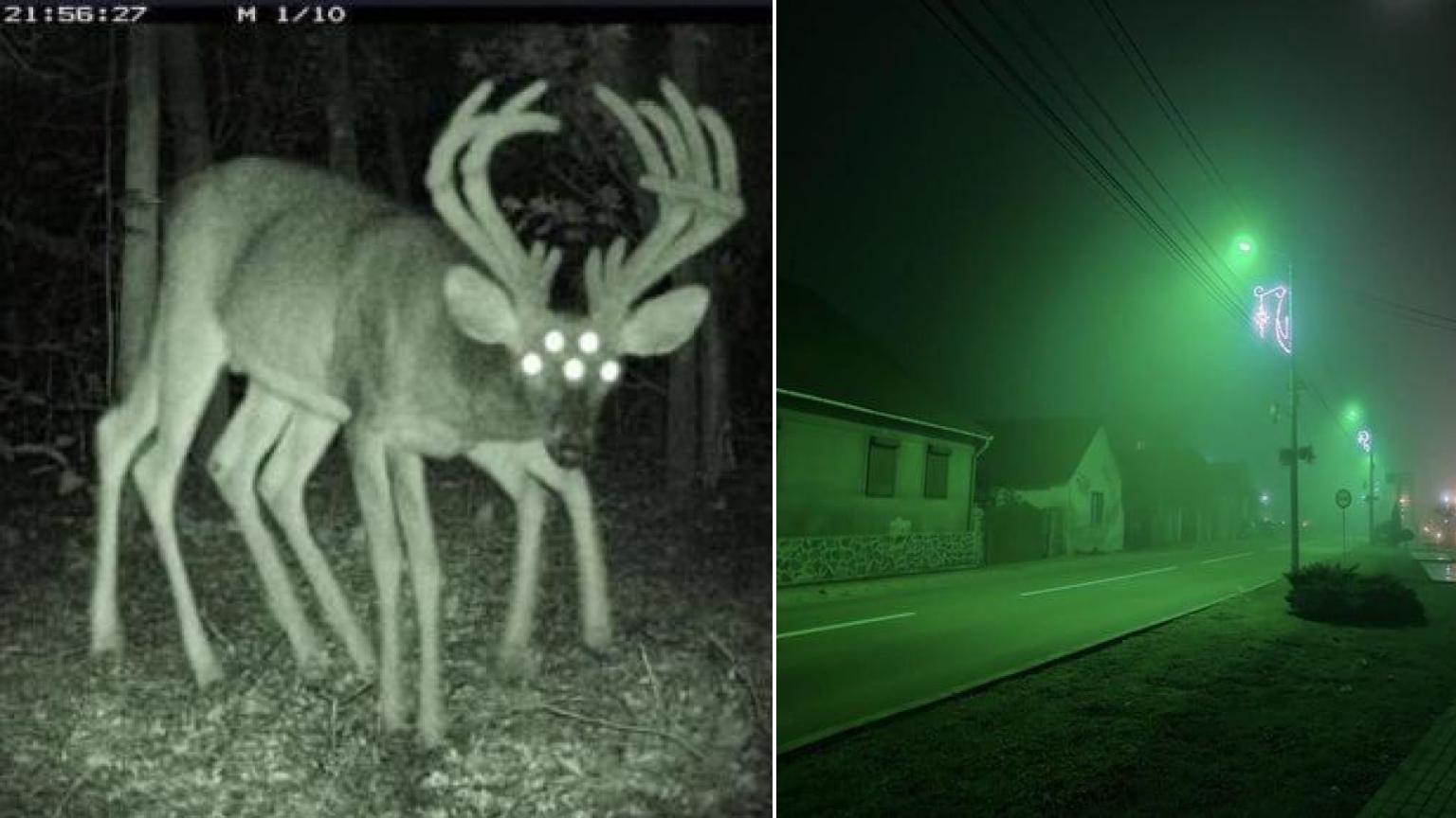 25 Oddly Terrifying Finds From This Oddly Terrifying World | Know Your Meme