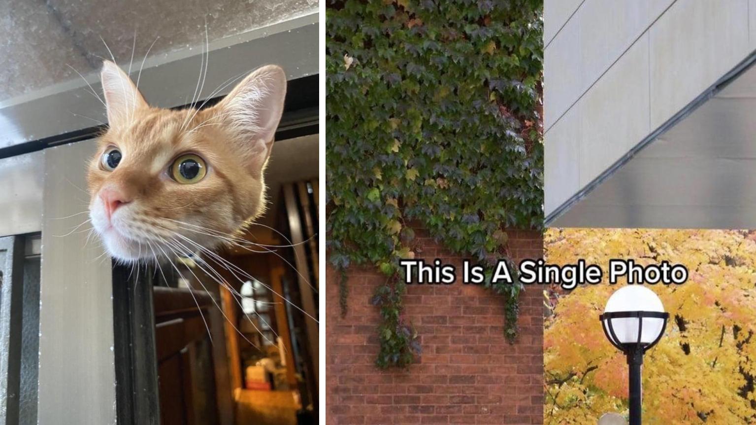 15 Interesting Photos Taken From Incredibly Confusing Perspectives ...
