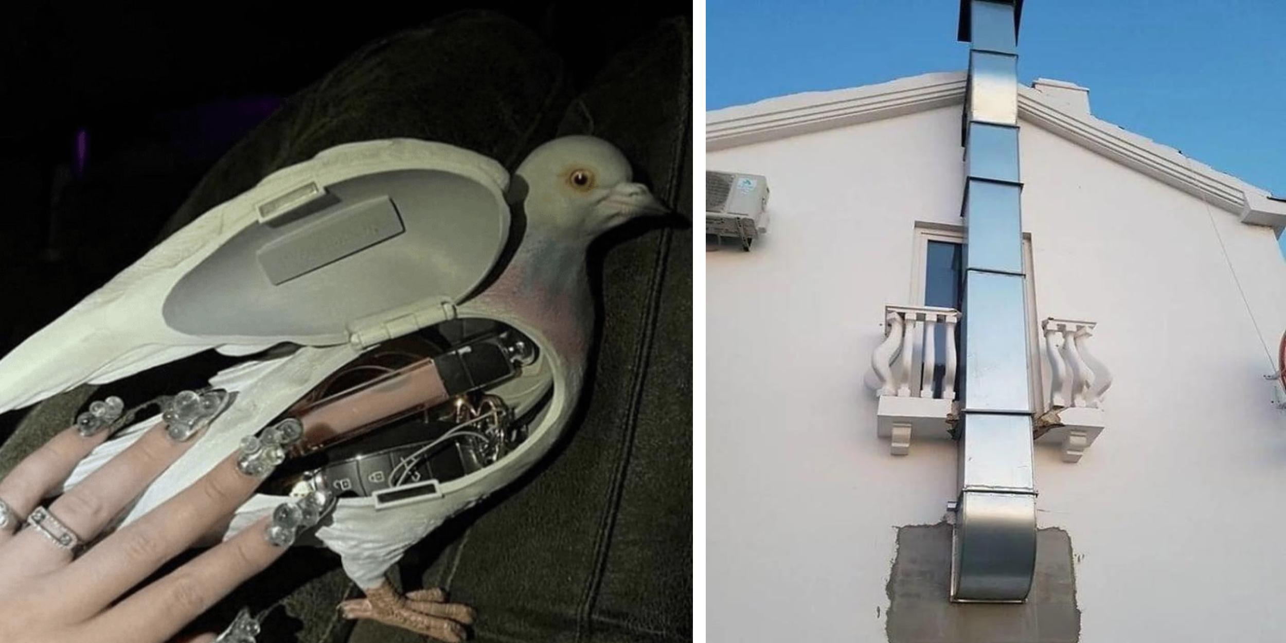 25 Odd Images That Defy Logic And Reason | Know Your Meme