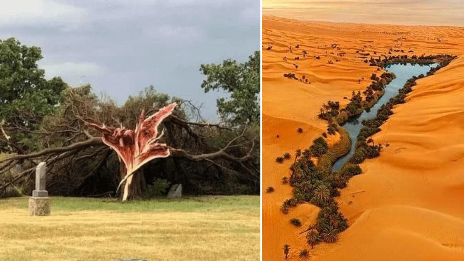 25 Interesting Photos Worth Seeing Today | Know Your Meme