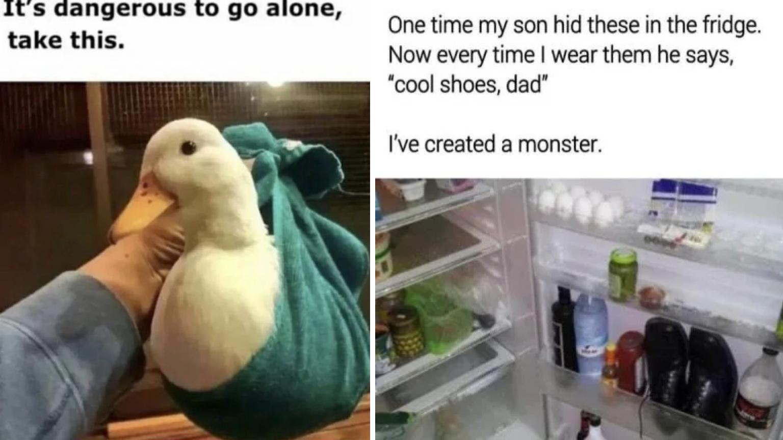 25 Wholesome Memes To Start Your Week | Know Your Meme