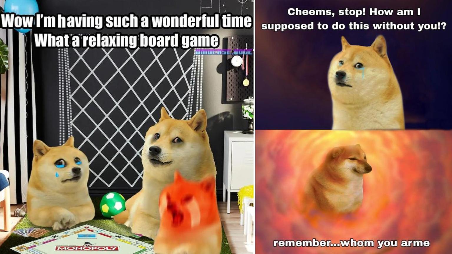 15 Doge Memes For A Glimpse Into The 'Dogeverse' | Know Your Meme