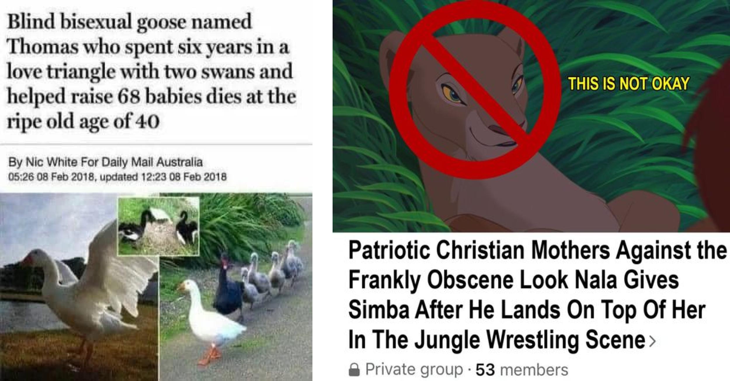 25 Strange Sentences That Have Never Been Said Before | Know Your Meme