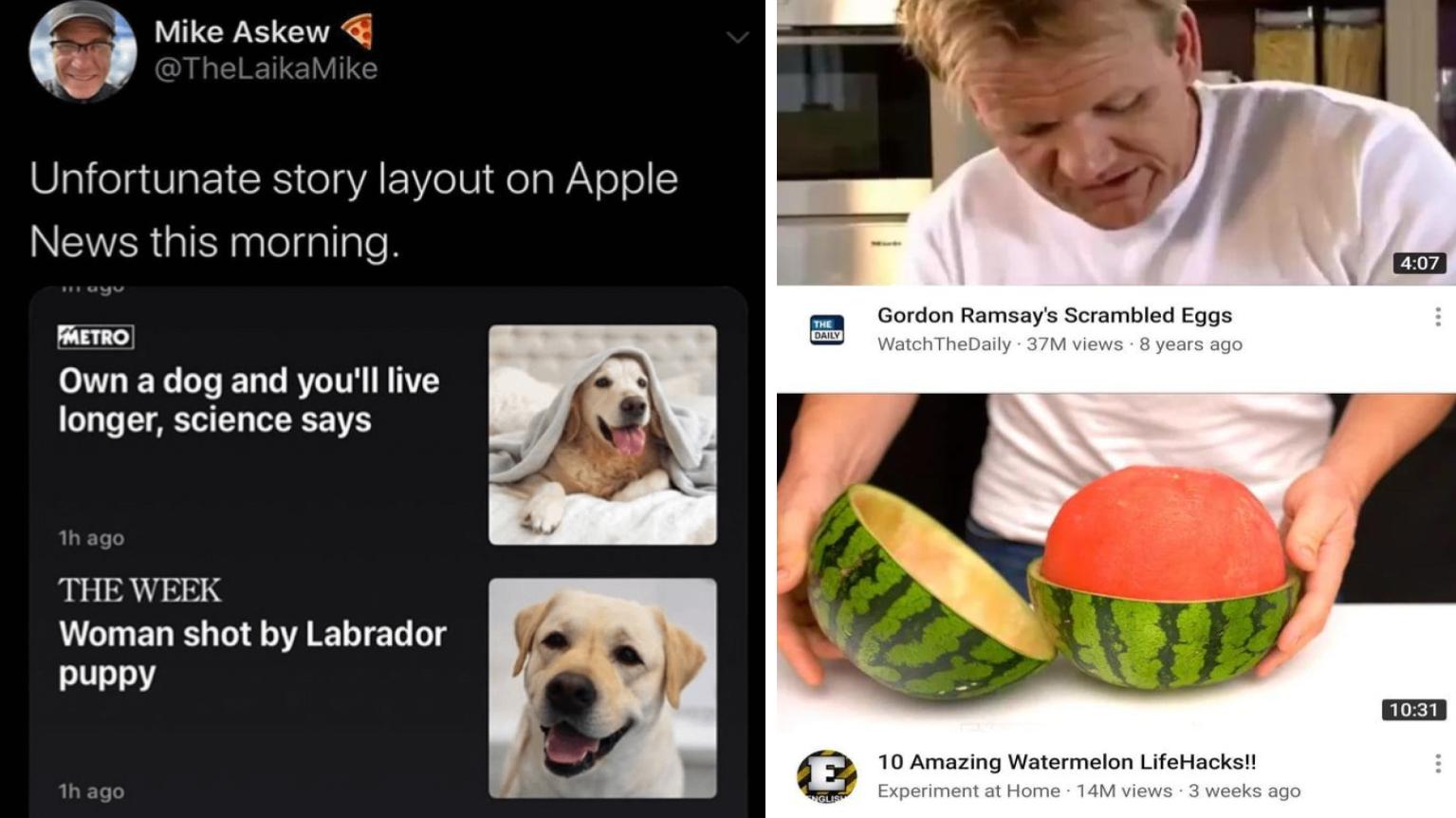 14 Posts From Reddit's 'Juxtaposition' That Ended Up In Just The Right ...
