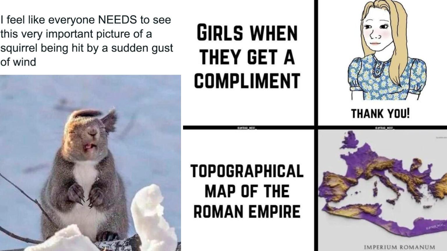 25 Of Today's Best Images From All Around The Internet | Know Your Meme