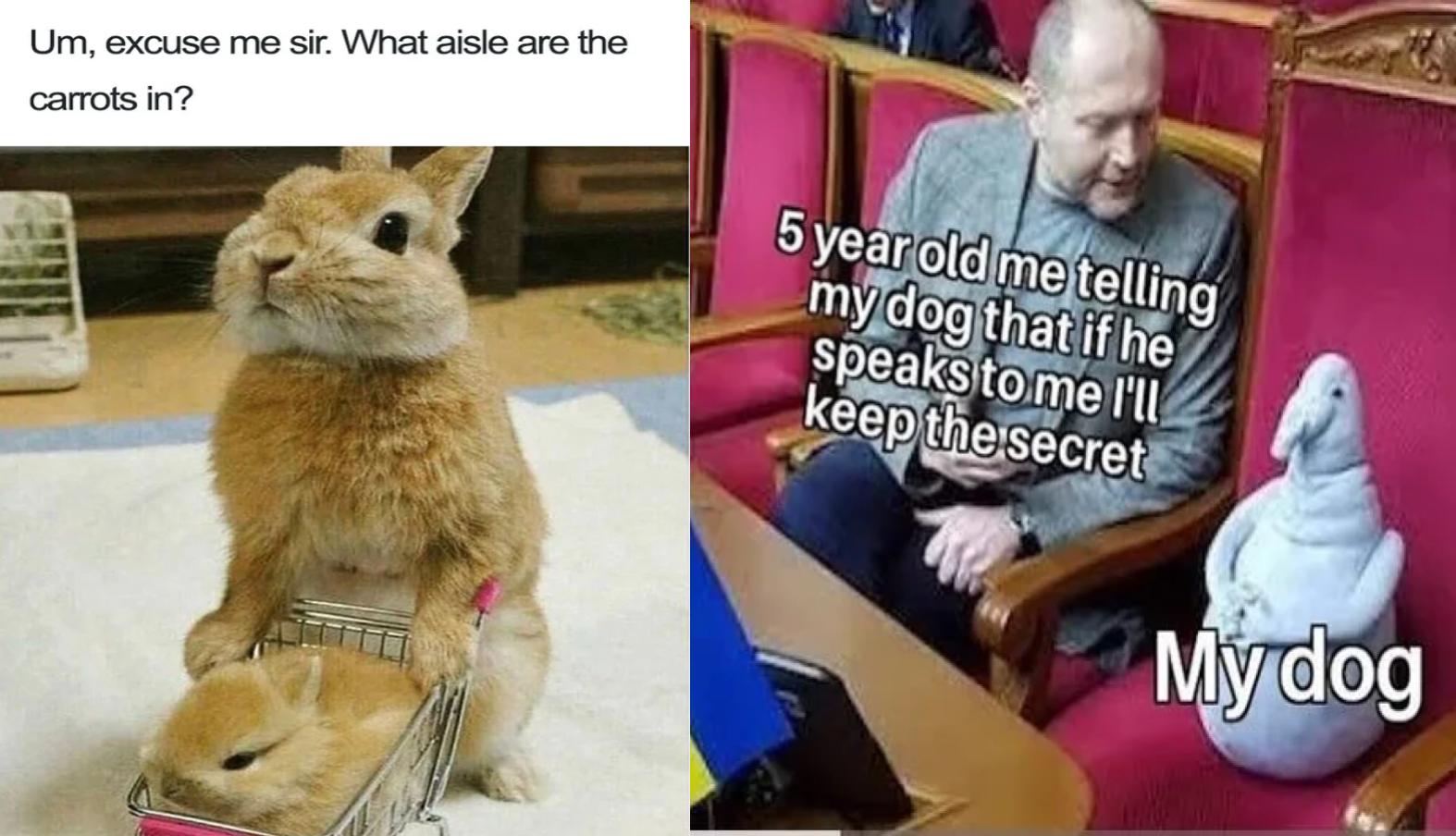 24 Wholesome Memes To Undo All The Other Bad Internet Stuff | Know Your ...