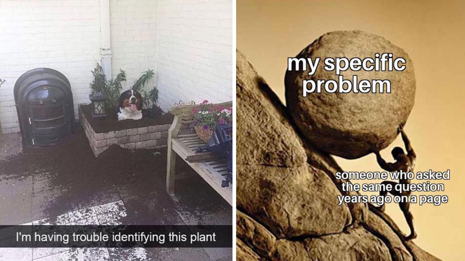 25 Random Images For Today's Unpredictable Scrolling Experience | Know ...