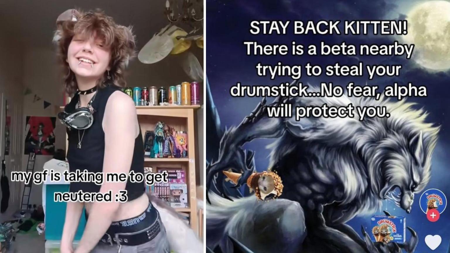 15 Screenshots From TikTok That Crossed A Line You Never Knew Existed ...