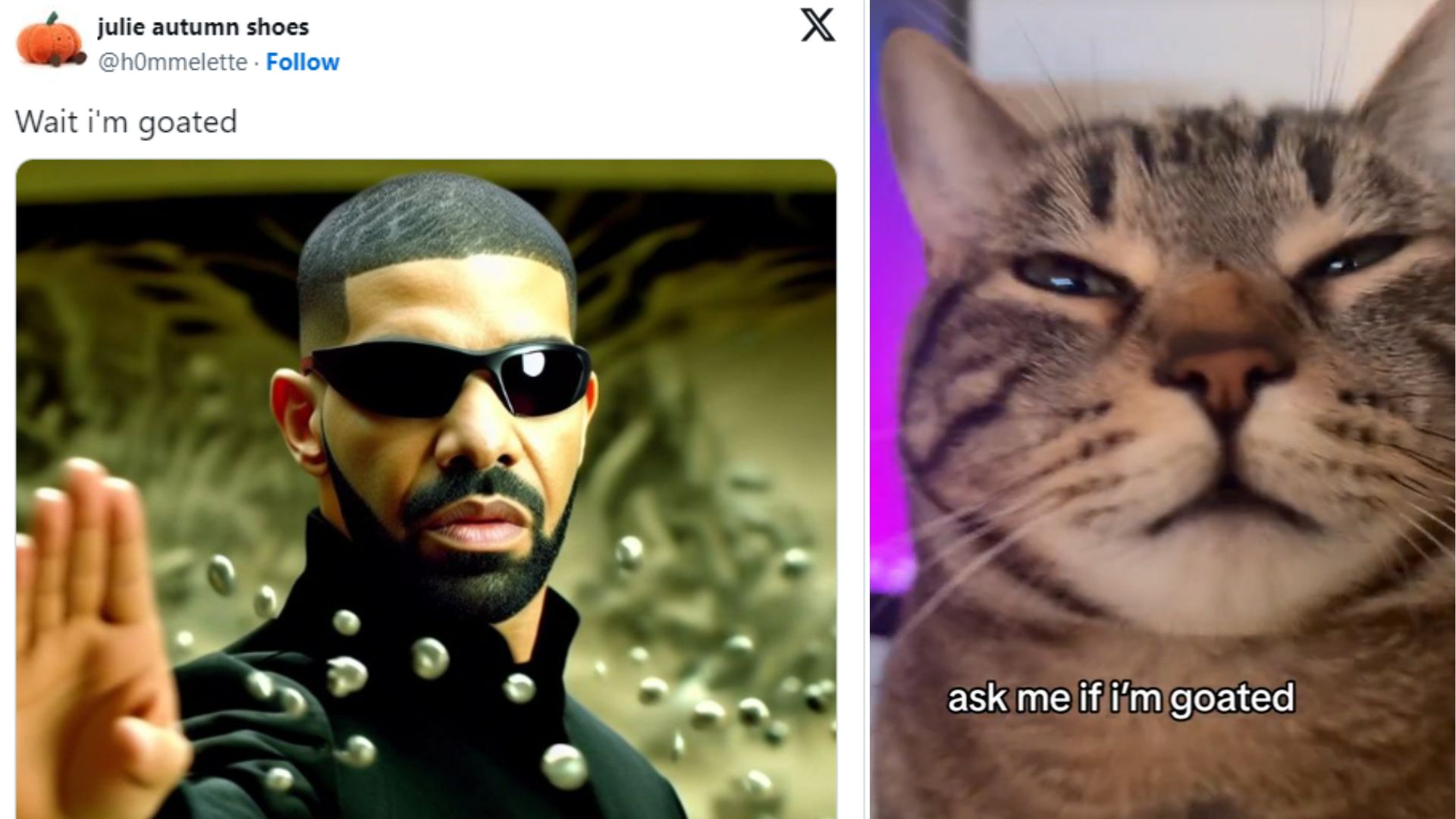 Where Does The 'Wait I'm Goated' Meme Come From? The Catchphrase ...