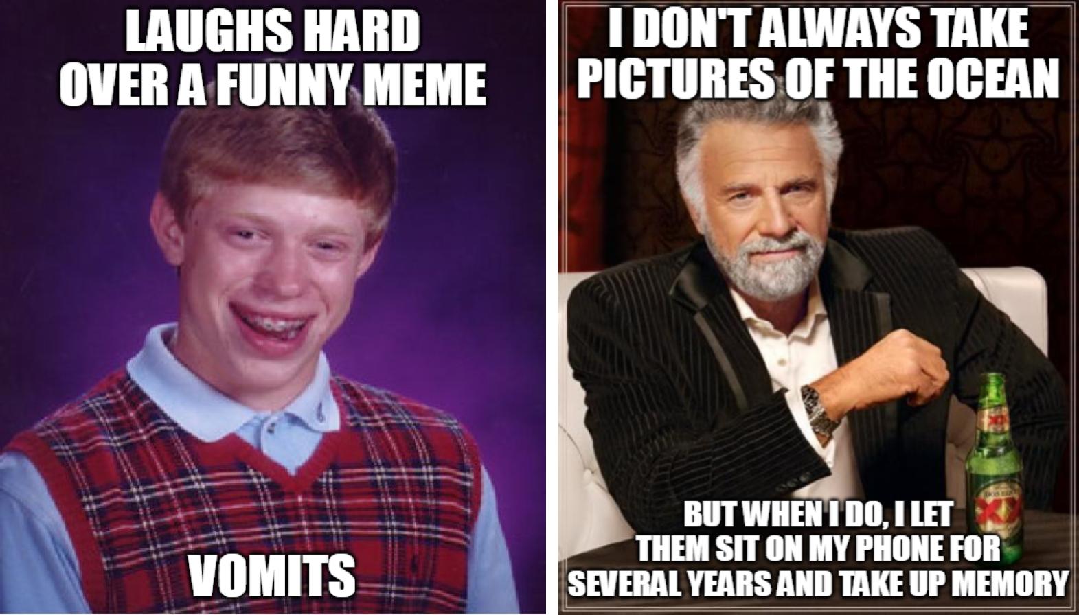 25 Advice Animals To Guide And Enlighten You | Know Your Meme