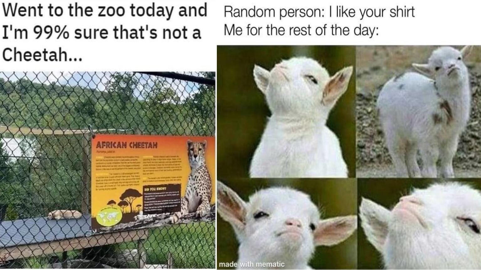 24 Wholesome Memes To Lift Your Spirits | Know Your Meme
