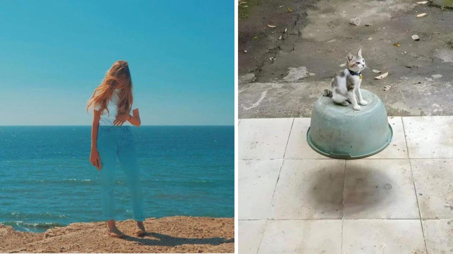 25 Captivating Optical Illusions To Rack Your Brain | Know Your Meme