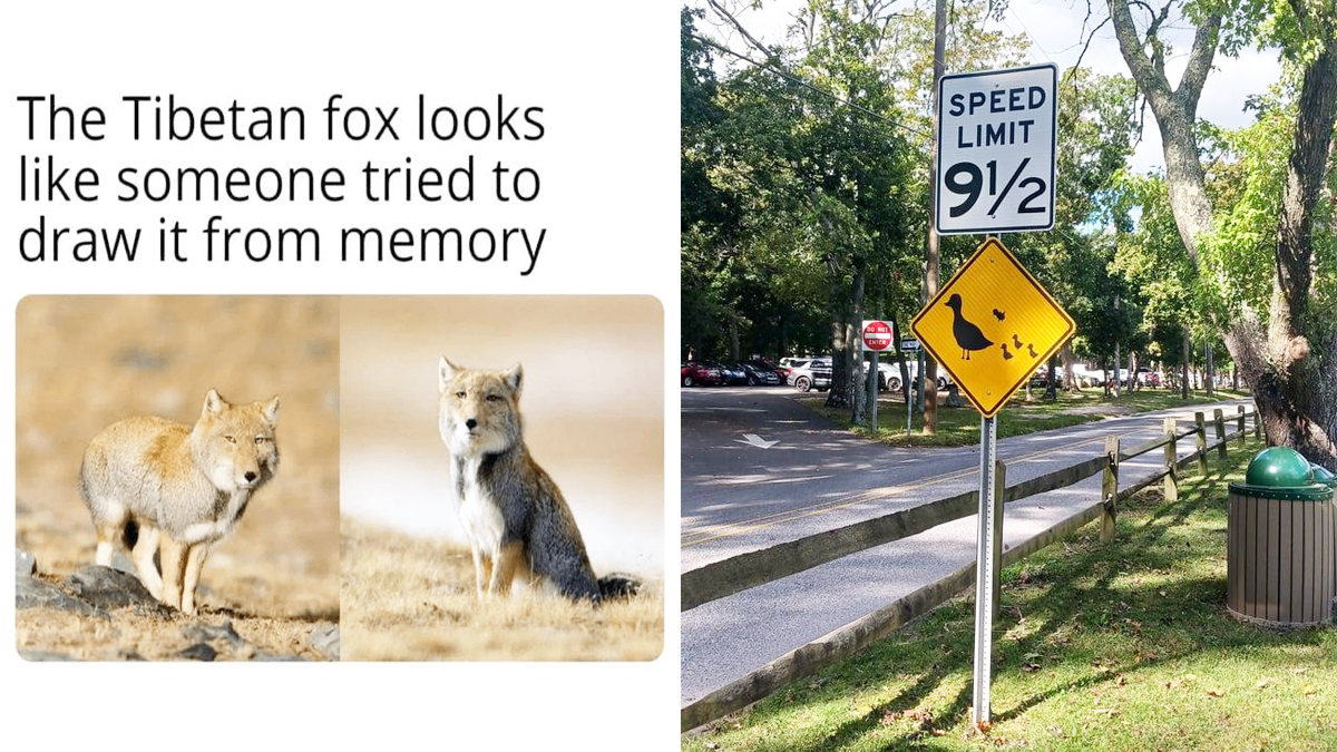 25 Oddly Specific Phrases That Are Slightly Concerning | Know Your Meme