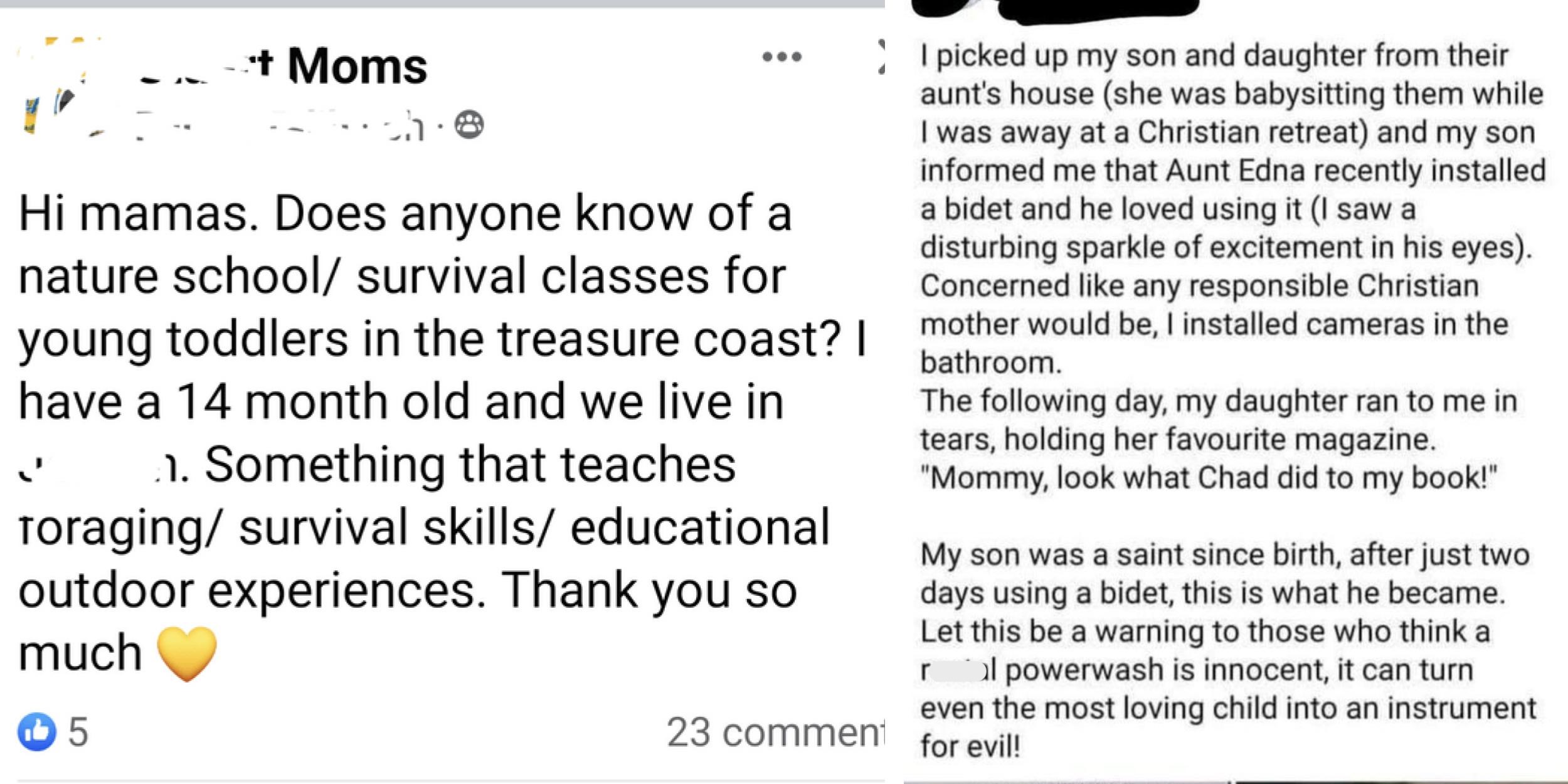 15 Delusional Posts Found In Facebook Mom Groups | Know Your Meme