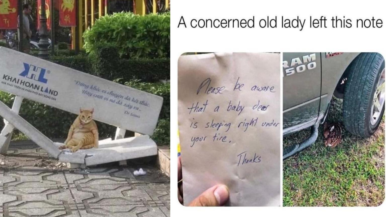 24 Blessed Images That Will Put A Smile On Your Face | Know Your Meme