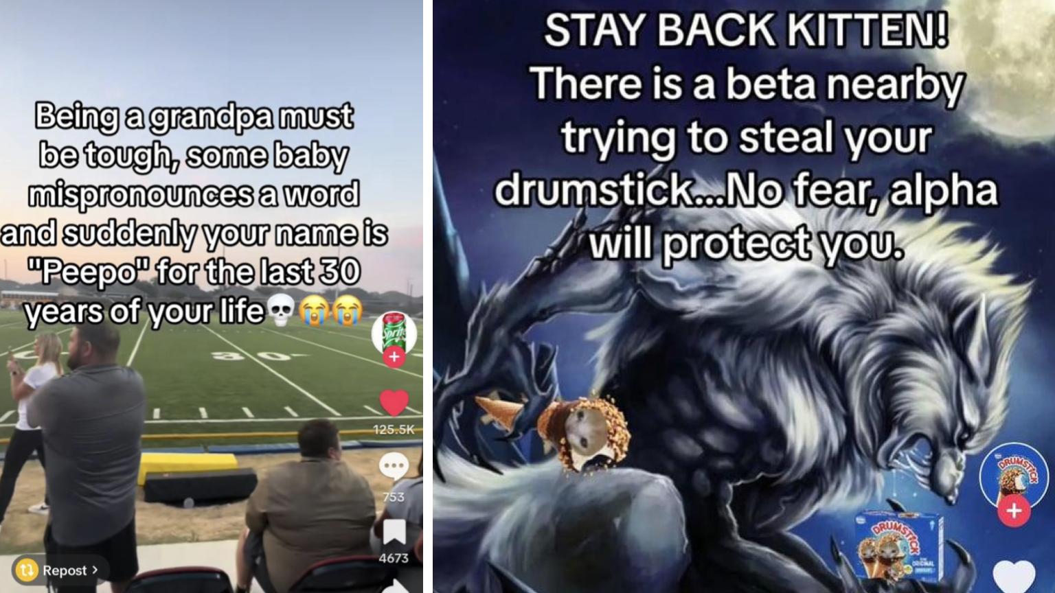 15 Concerning And Confusing TikTok Screenshots | Know Your Meme