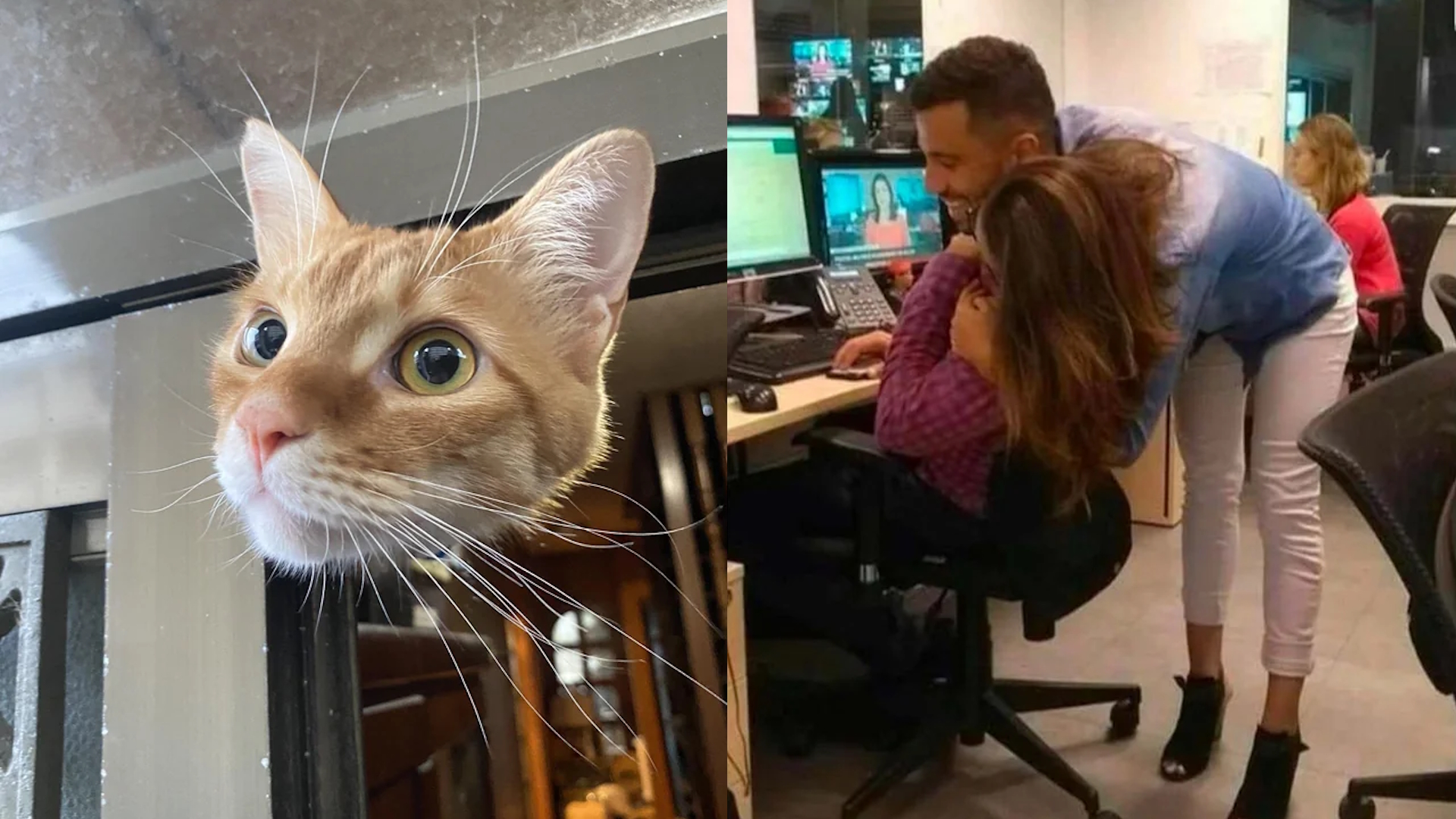 20 Confusing Images That Will Make You Do A Double Take | Know Your Meme