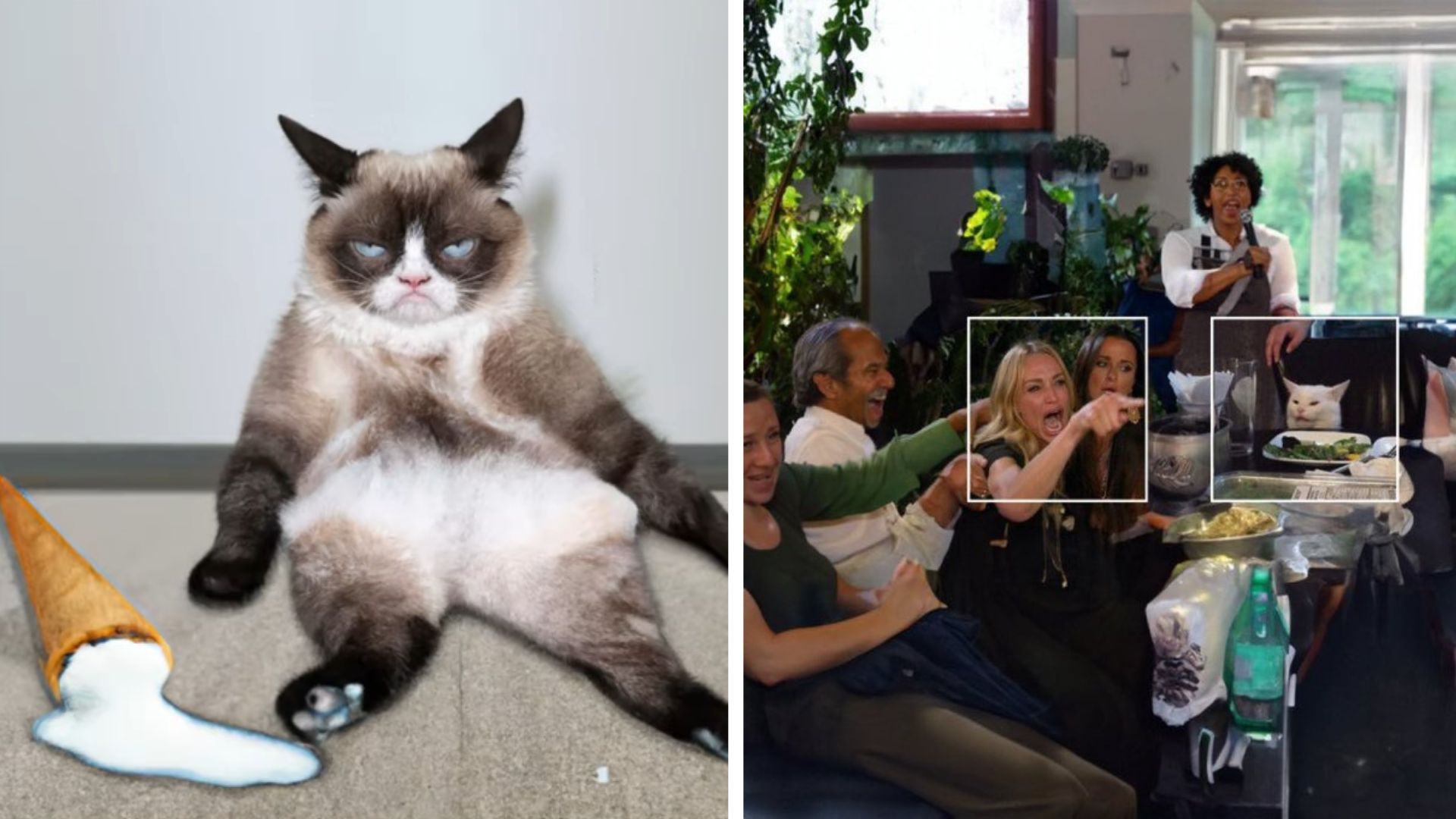 15 Famous Meme Photos That Were Filled In By AI | Know Your Meme