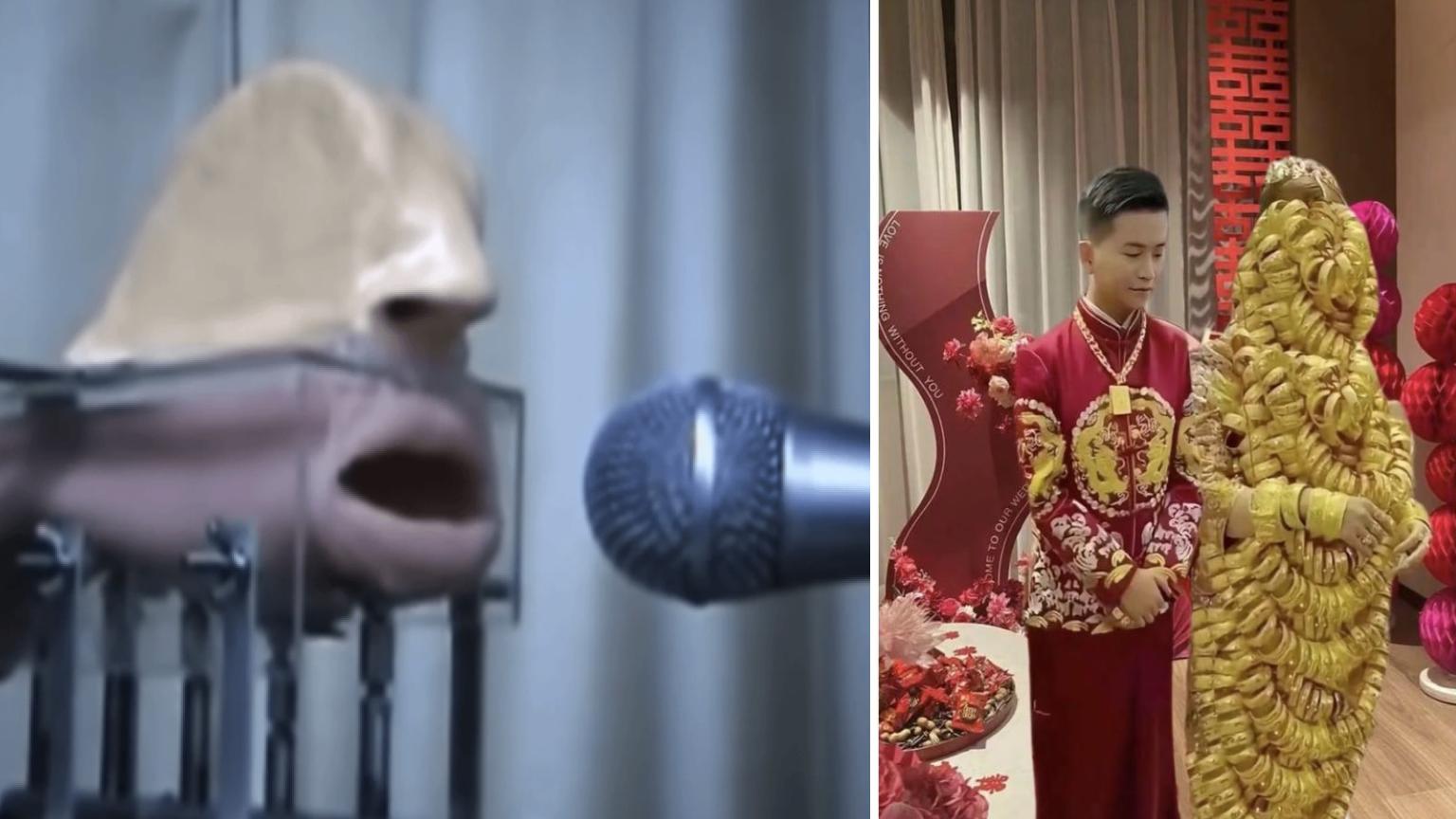 25 Bizarre Images From Our Confusing Reality | Know Your Meme