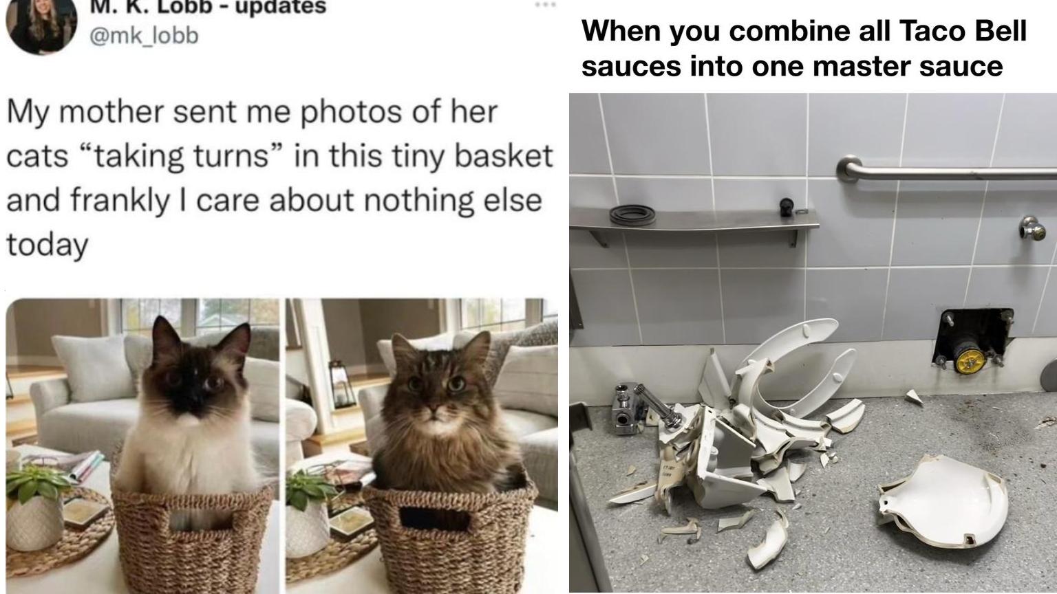 23 Completely Random Memes From The Depths Of Social Media | Know Your Meme