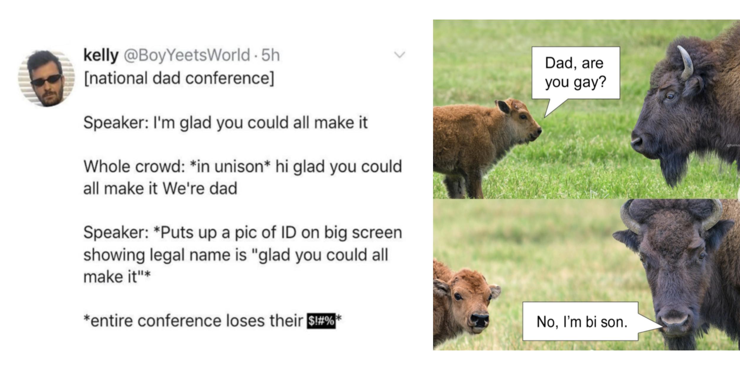 25 Knee-Slapping Dad Jokes For Everyone | Know Your Meme