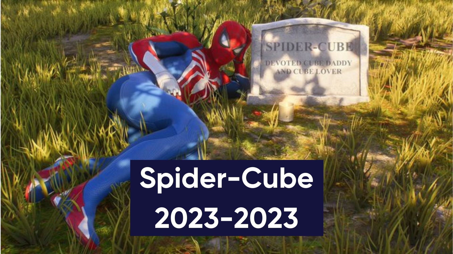 20 Images And Memes About 'Spider-Cube' Glitch From Marvel's Spider-Man ...