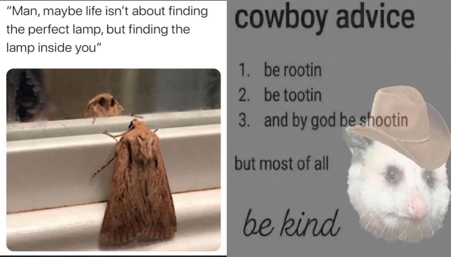 24 Wholesome Memes To Recover Your Dopamine | Know Your Meme