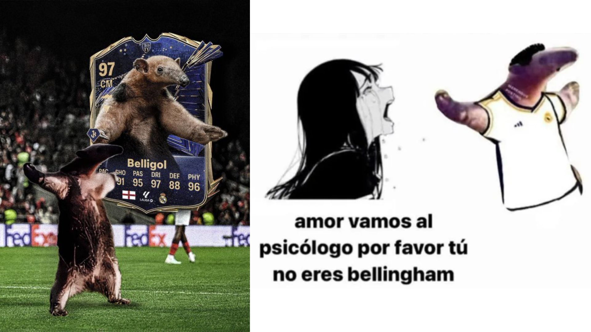 15 Memes About Bellingham's Celebration That Took Over Brazilian TikTok ...