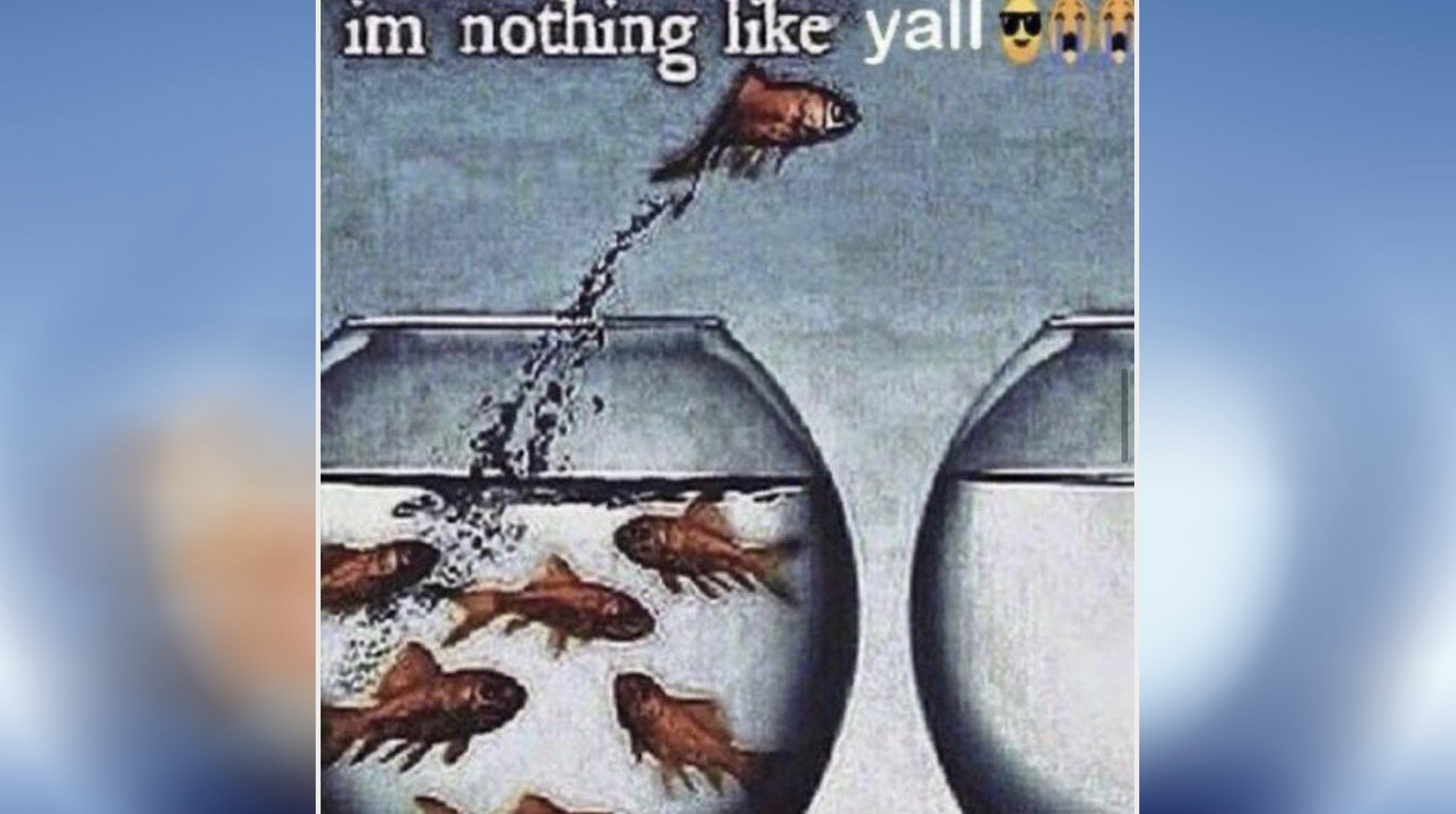 What Is The 'I'm Nothing Like Y'all' Meme? The Origins Of The Fish ...