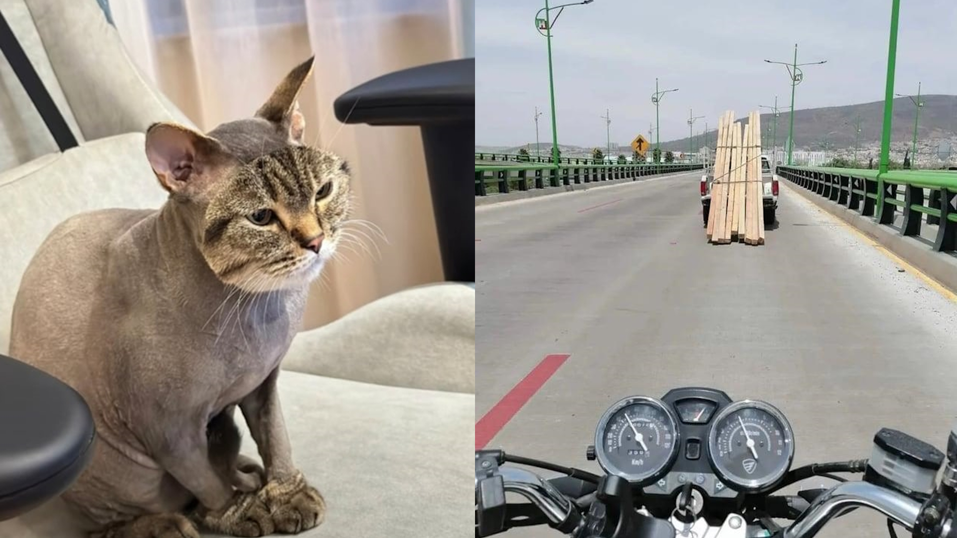 22 Random Images To Get You Thinking | Know Your Meme