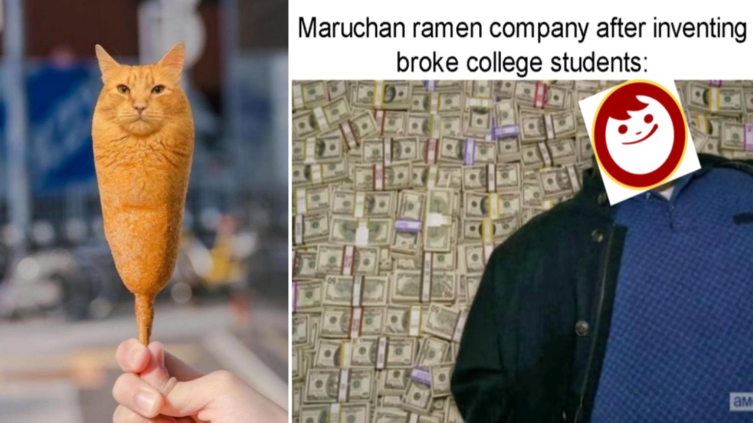 21 Images That Are Either Wholesome Or Incredibly Weird | Know Your Meme