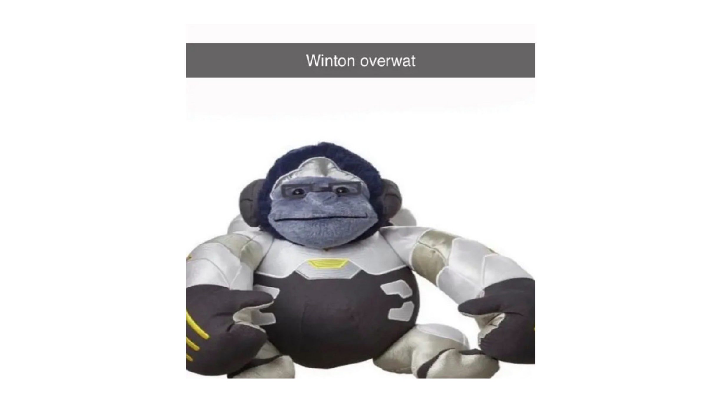 Where Does The 'Winton Overwat' Meme Come From? The 'Overwatch' Meme ...