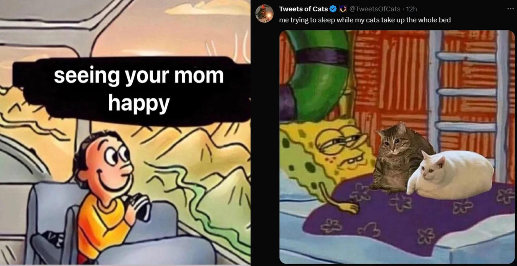 25 Wholesome Memes That Are Proof Of The Indomitable Human Spirit ...