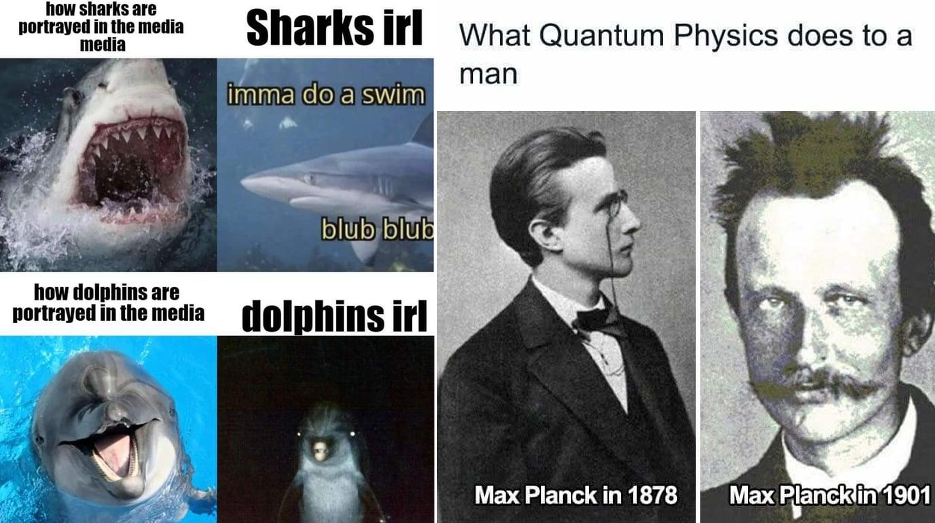 20 Science Memes For The Geek In You | Know Your Meme