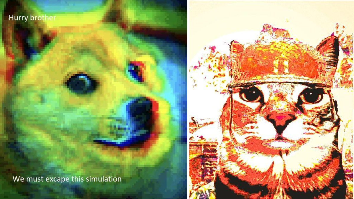 18 'Deep-Fried' Memes From The Weird Side Of The Web | Know Your Meme