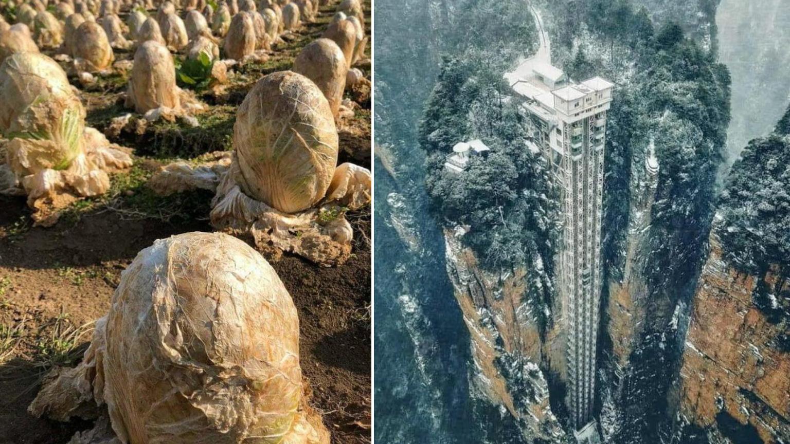 25 Everyday Things That Are Oddly Terrifying | Know Your Meme