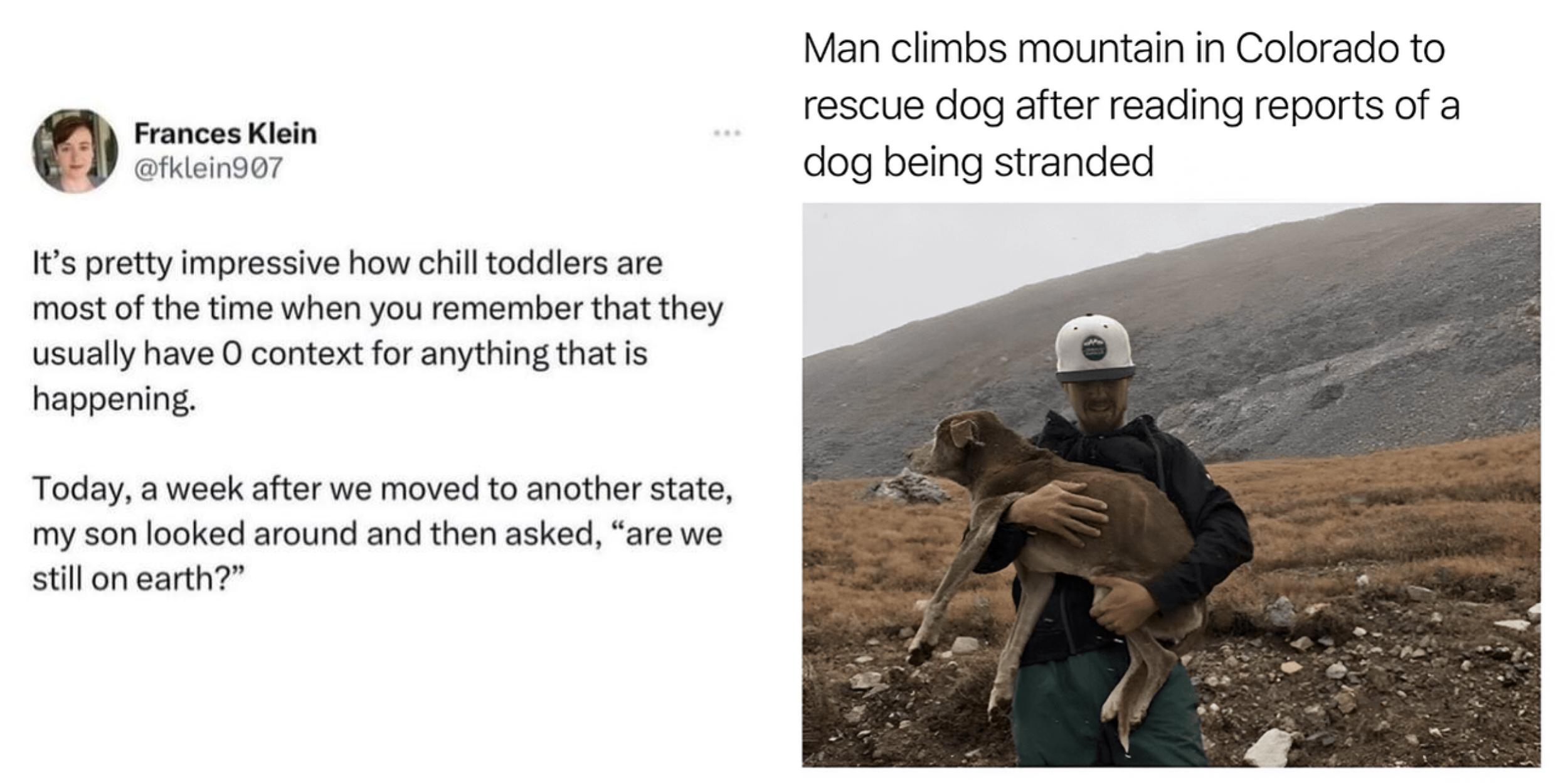 Enjoy Some Wholesome Memes For A Dose Of Pre-Christmas Stress Reduction ...