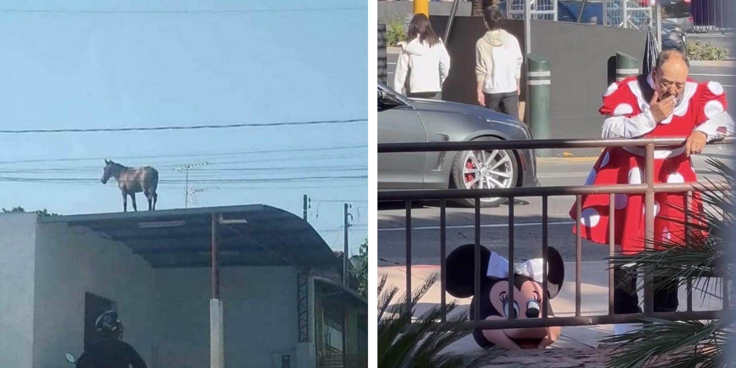 25 Perplexing Images That Can't Be Comprehended | Know Your Meme