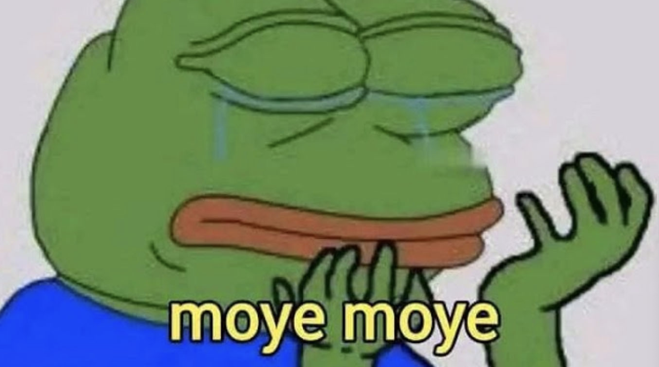 What Does 'Moye Moye' Mean? Memes About 'Džanum' By Teya Dora And The ...
